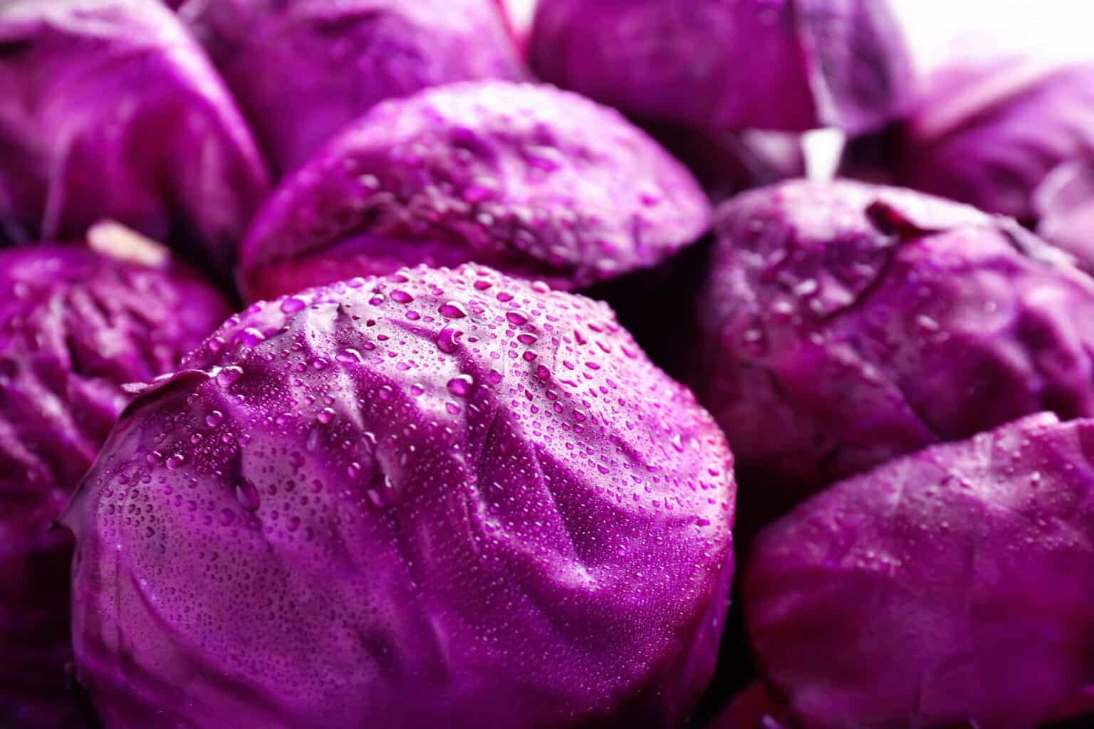 How to dye Blue Easter Eggs using Purple Cabbage