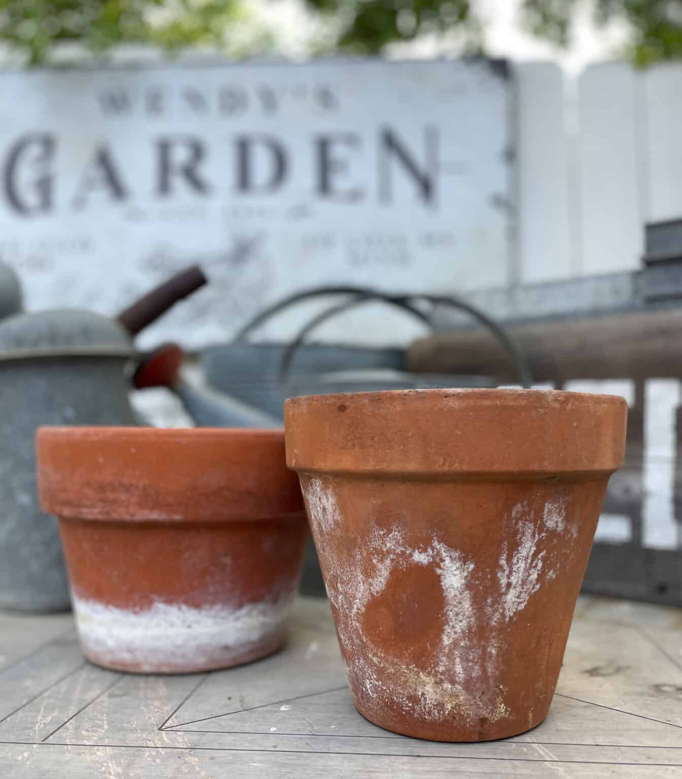 Easy Ways to Age Terra Cotta Pots and Style Them