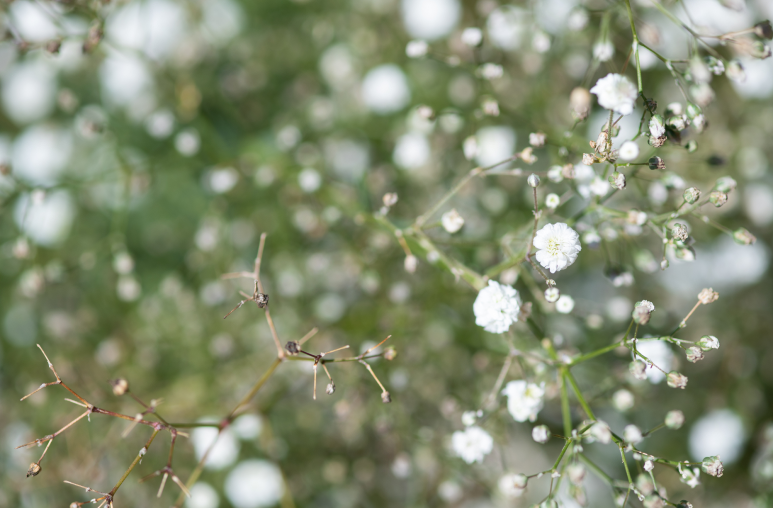 How to Make Gorgeous Floral Arrangements: A Step-by-Step Guide - WM ...