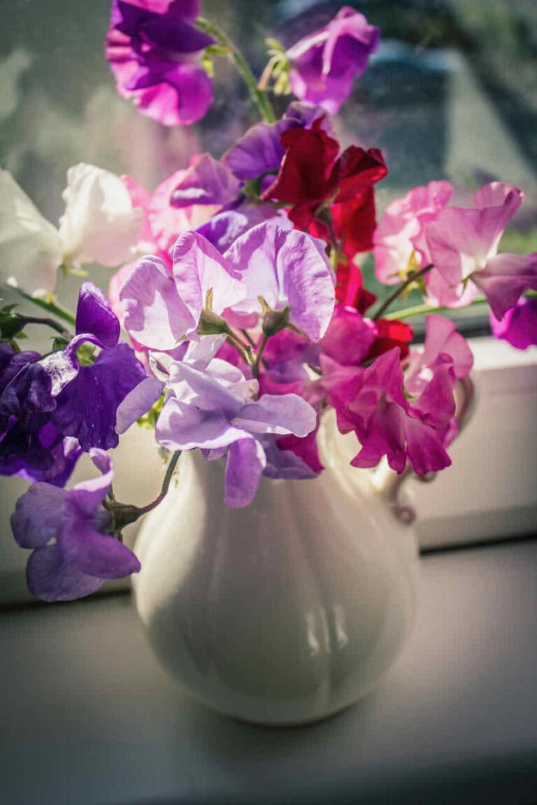 The Best Quick and Easy Sweet Pea Floral Arrangement