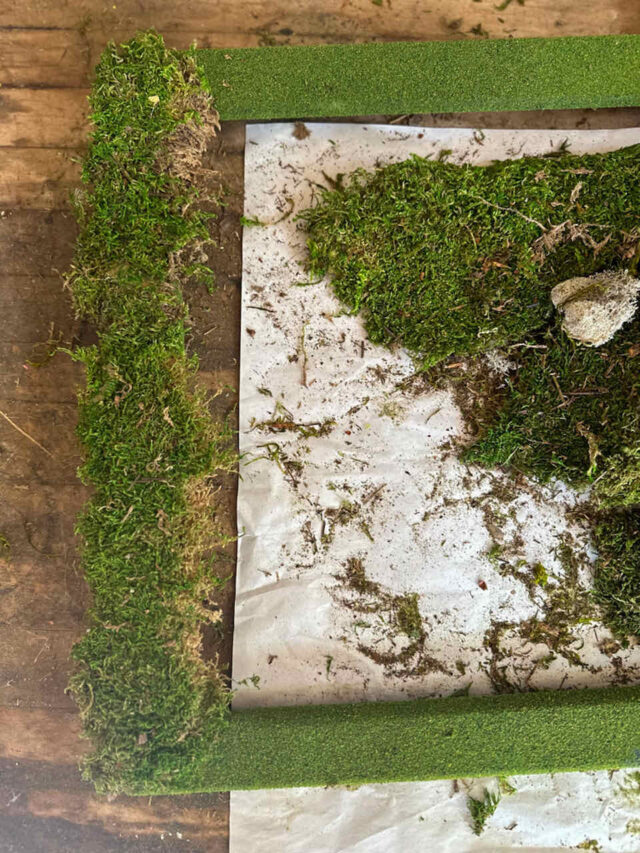 How to Make An Easy DIY Moss Frame Wall Art Gallery