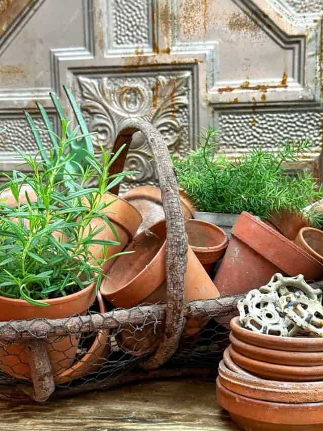 The Best Vintage Garden Decor Ideas for Indoors