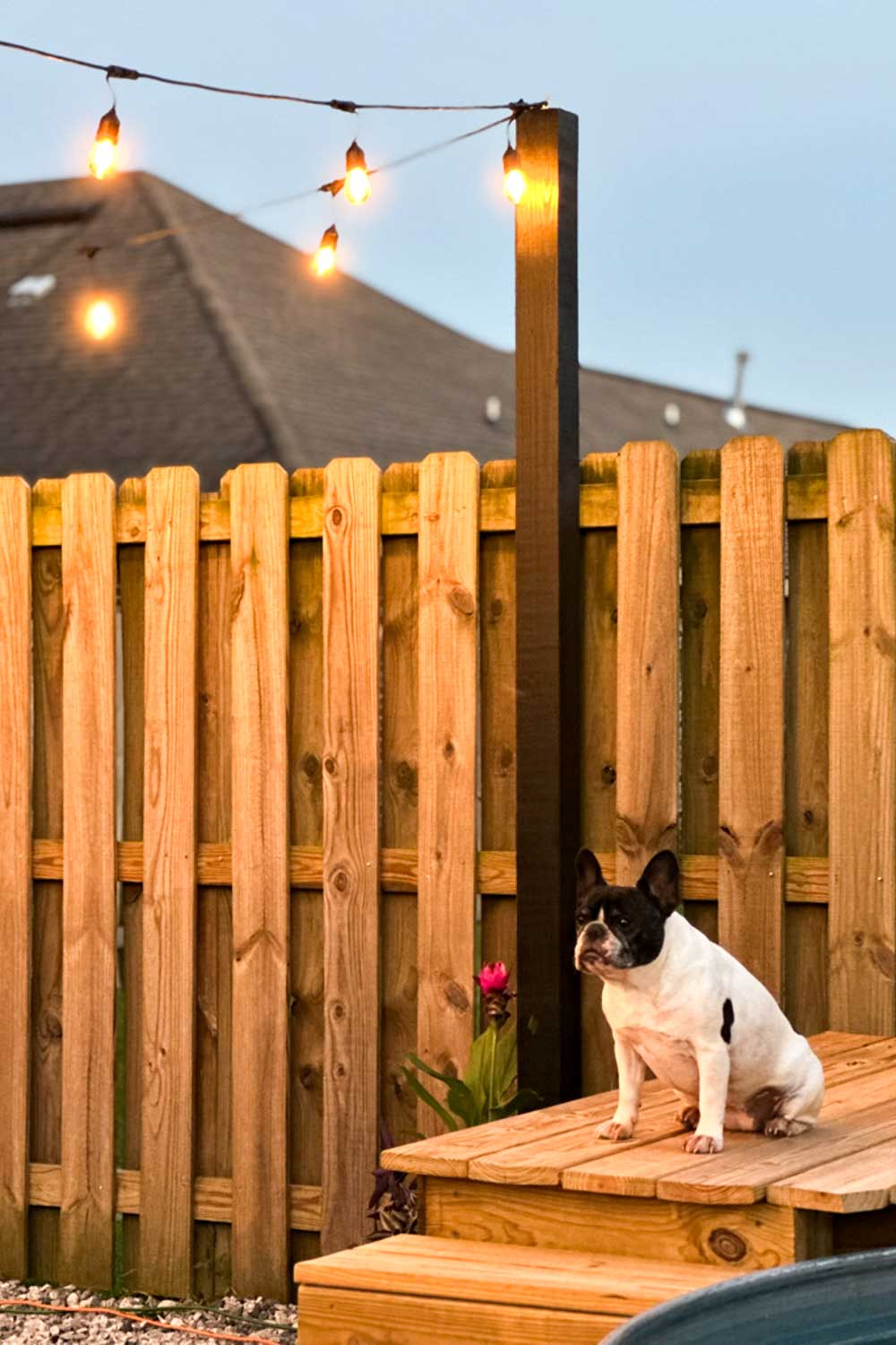 How to Hang String Lights in Backyard without Trees - WM Design House