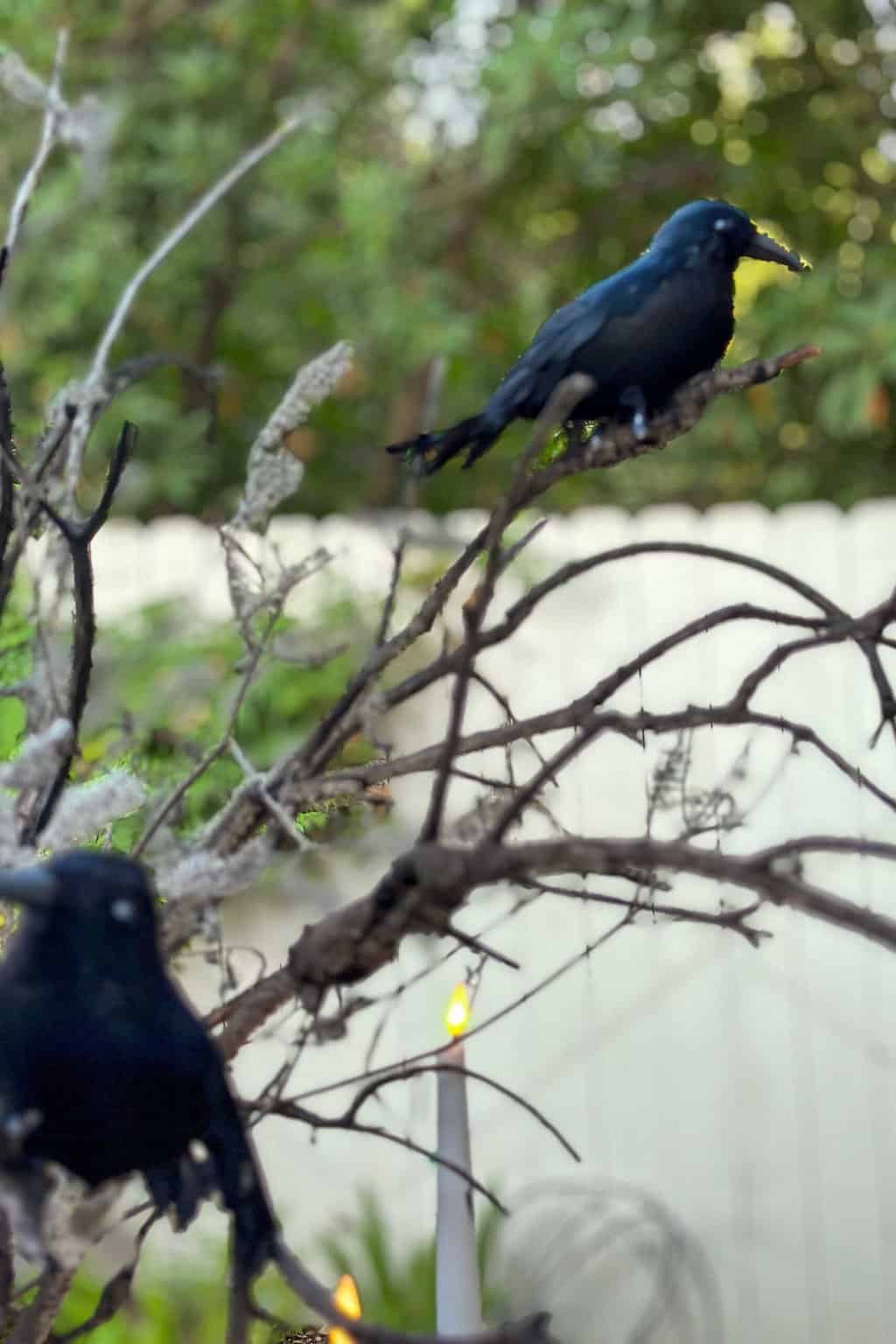 How to Make A DIY Halloween Tree: A Spooky Way to Decorate