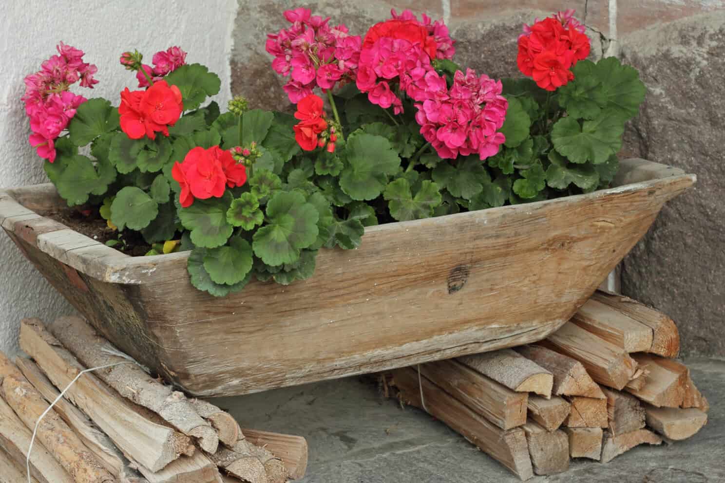 29 Rustic Outdoor Planter Ideas for a Unique Garden
