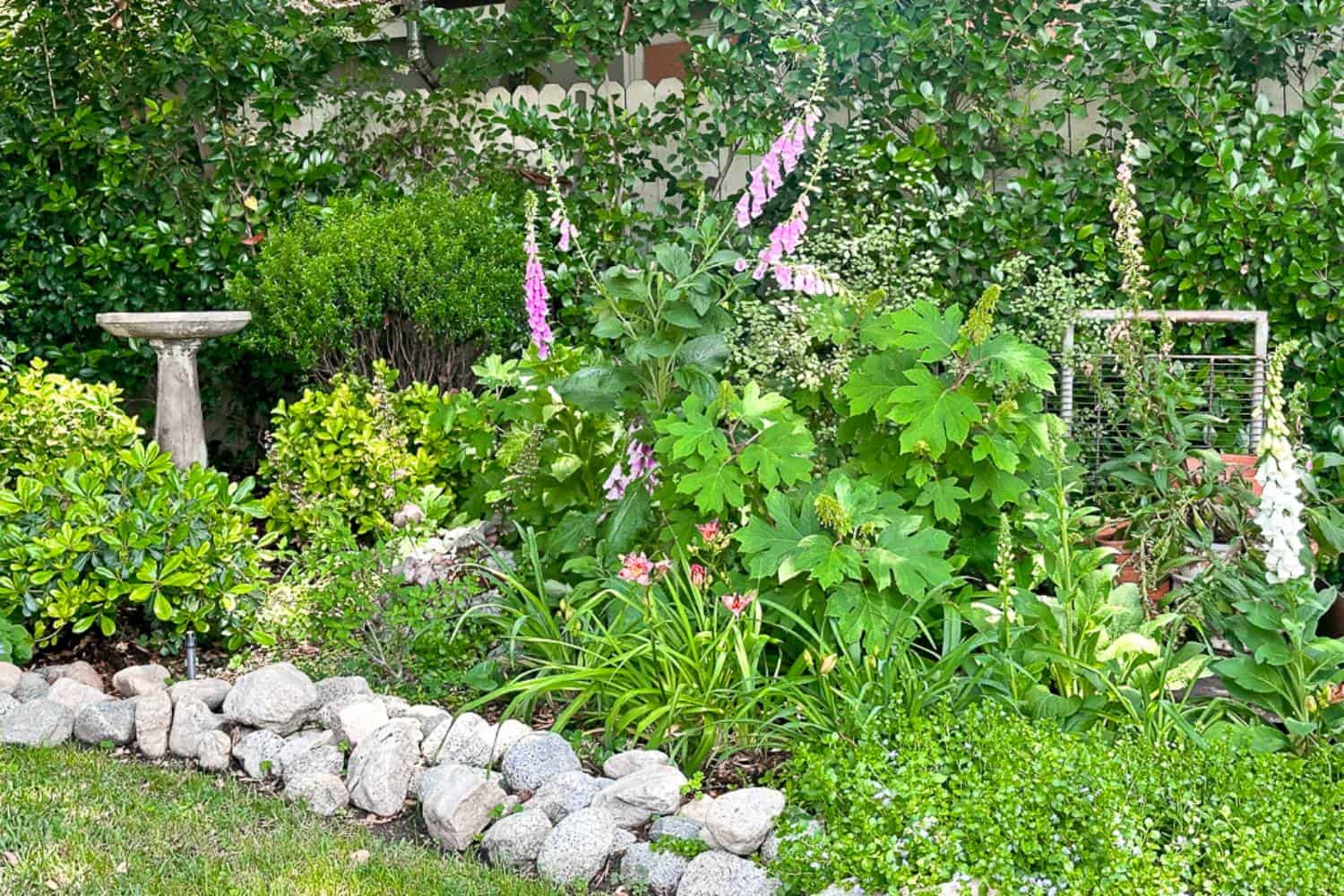 California Backyard Living: Outdoor Home and Garden Tour - WM Design House