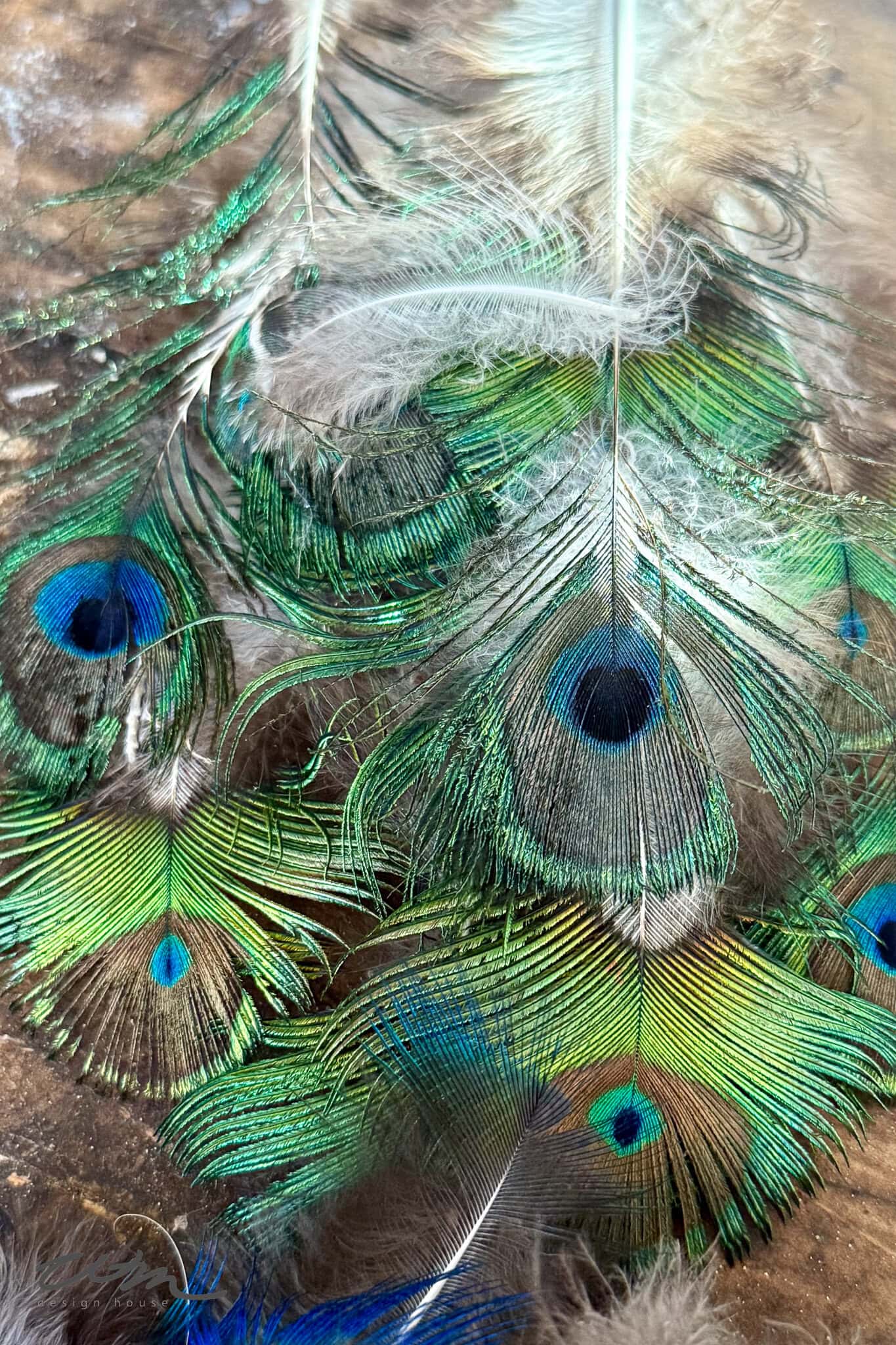 DIY Feather Ornaments – Elegant & Festive Christmas Craft